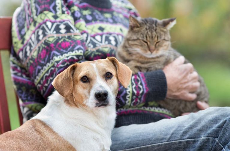 Six ways Pets improve your Health and give you a good Life